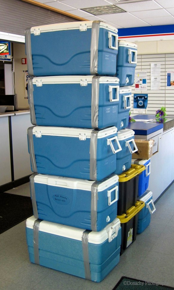 A Year’s Worth of Food: Provisioning for the Alaska Bush, Part I ...