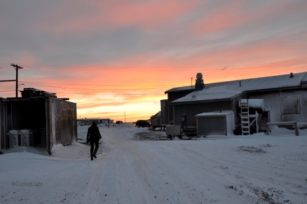 Winter Light and Polar Bear Prints, Point Hope, Alaska | CutterLight