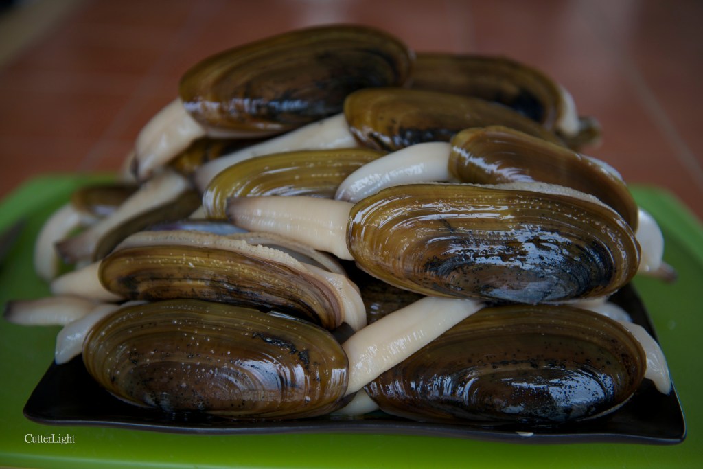 Alaskan cooking | CutterLight | Page 3