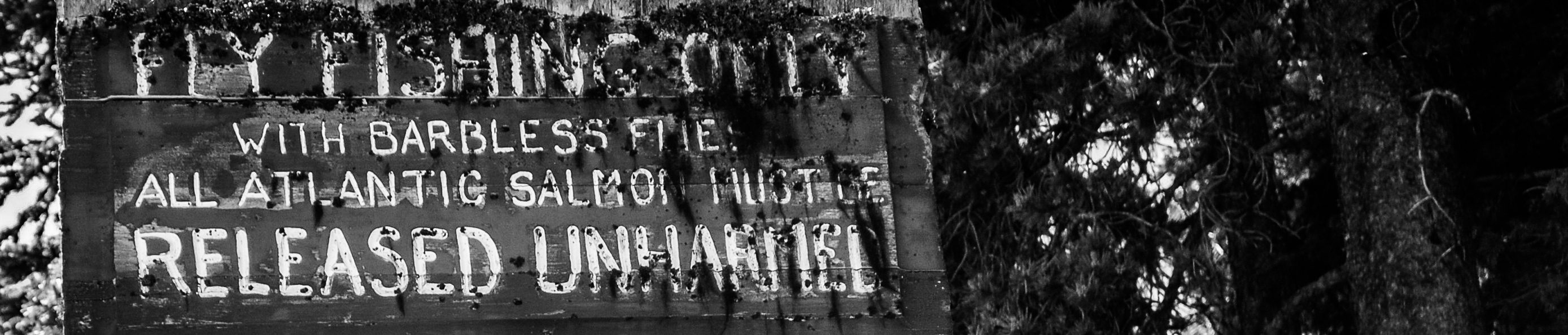 fly fishing sign | CutterLight