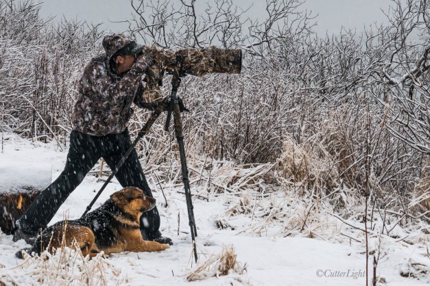 He Wasn’t Our Dog – a Tribute to Our Friend, Buster | CutterLight