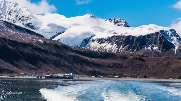 The Chigniks – Avian Diversity and Change in a Remote, Unique ...