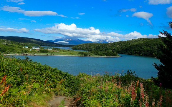 Birds of Chignik Lake: Merlin – Lady of the Lake | CutterLight