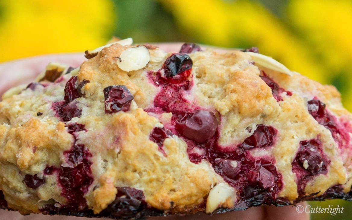 baking | CutterLight