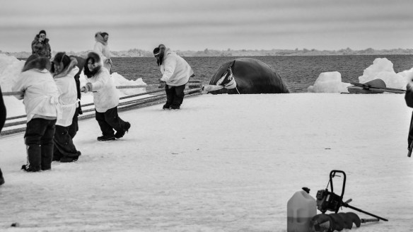 Point Hope | CutterLight