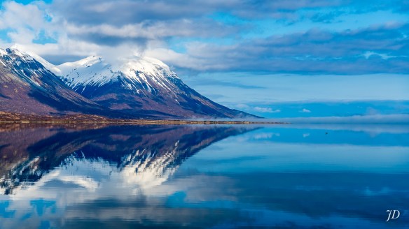 Birds of Chignik Lake | CutterLight